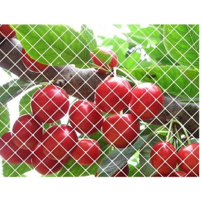 China 100% Vingin HDPE Knitting Anti-Bird Protection UV Stablised Plastic Net for sale
