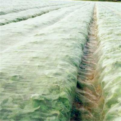 China agricultural product fruit fly nets /vegetables anti fly net /greenhouse anti insect net for agriculture for sale