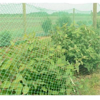 China agricultural product fruit fly nets /vegetables anti fly net /greenhouse anti insect net for agriculture for sale