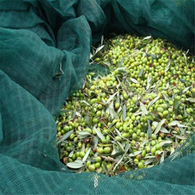 Китай HDPE прованский ловит сетью (жмущ сеть) продается
