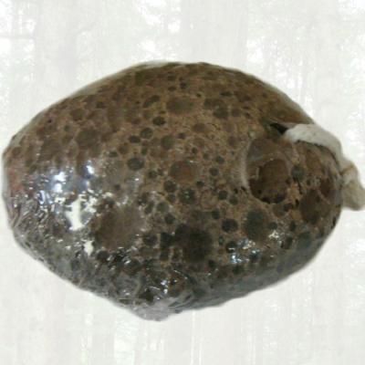 Китай Яйцо сформировало камень пемзы вулкана, камень пемзы продается