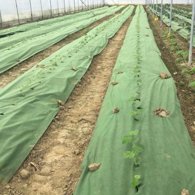 China white/black reflect anti weed matting for sale