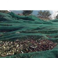 China Olive falling fruit netting for sale