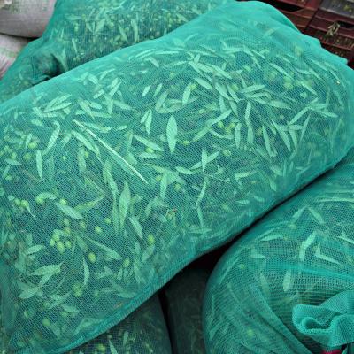 China Red verde oliva de la fruta que cae en venta