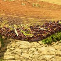 China Olive falling fruit netting for sale