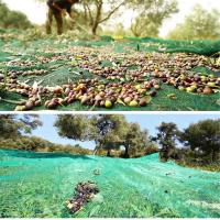 China Olive falling fruit netting for sale