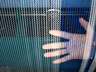 China 45gsm virgin HDPE Anti Hail Net for sale