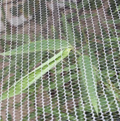 China PE con la red anti blanca ULTRAVIOLETA del saludo del manzano de la agricultura del color 53gsm en venta