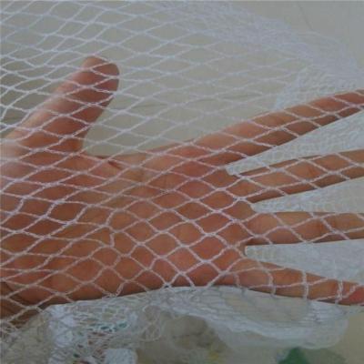 China Polyester mesh fabric white plastic anti hail net for greenhouse 5m width for sale