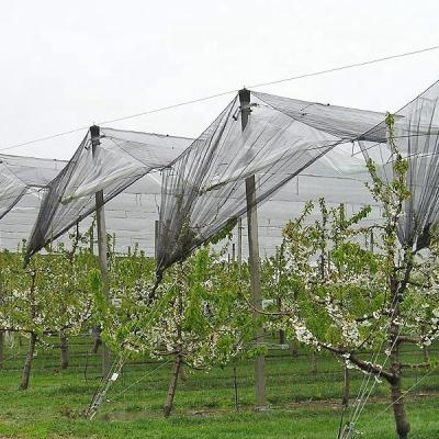 China Polyester mesh fabric white plastic anti hail net for greenhouse 5m width for sale