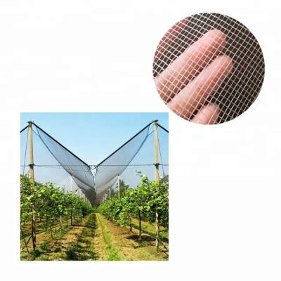 China Red anti del saludo del PE con ULTRAVIOLETA para la protección de la agricultura en venta