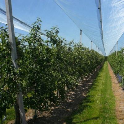 China Red anti del saludo del PE con ULTRAVIOLETA para la protección de la agricultura en venta