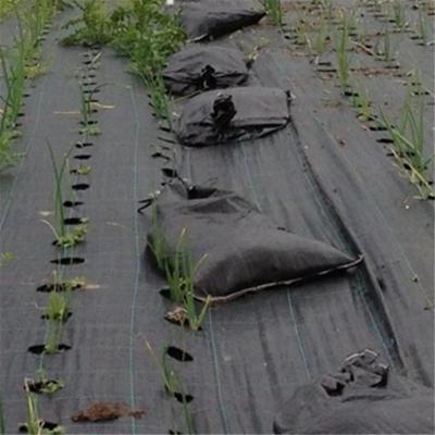 China Weed Barrier Fabrics,weed control mat, weed control fabric for sale