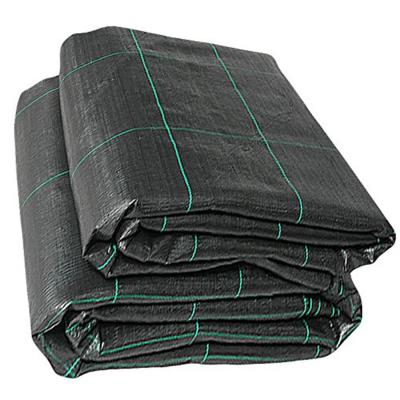 China China Agriculture Control Black PP Woven Weed Barrier Mat for sale