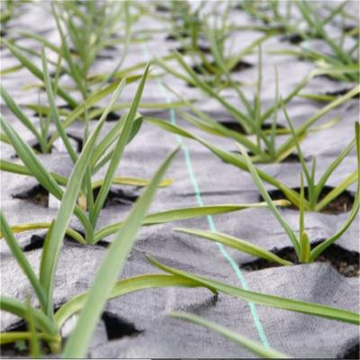 China Polyethylene Weed Barrier Landscape Fabric for sale