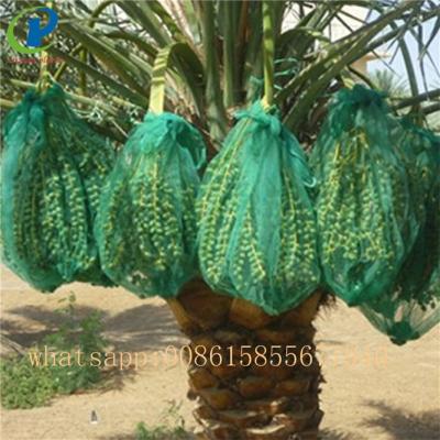 China 100% virgin polyethylene PE net bags for vegetables date palm packaging for sale