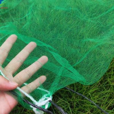 China 80x100cm green HDPE date tree date palm mesh net bag for sale
