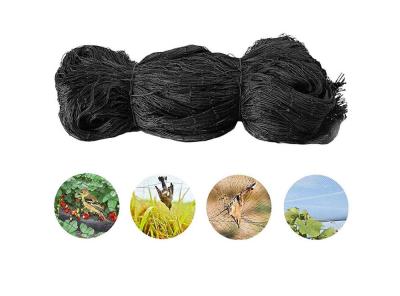 China Red del pájaro - árbol frutal y red del jardín contra pájaro en venta