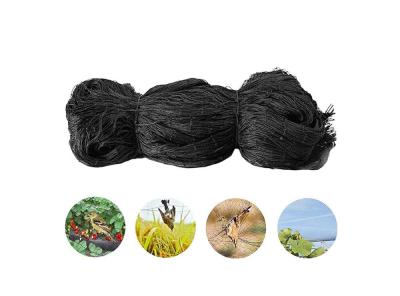 China Black Anti-bird Net for Plants for sale