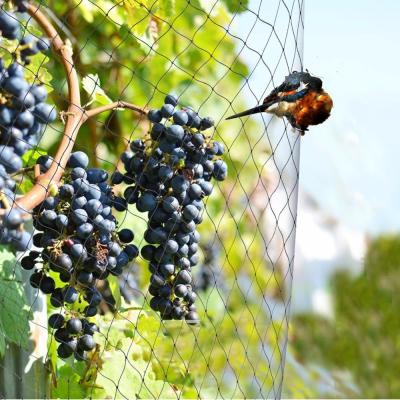 China Red plástica del Anti-pájaro para la fresa en venta