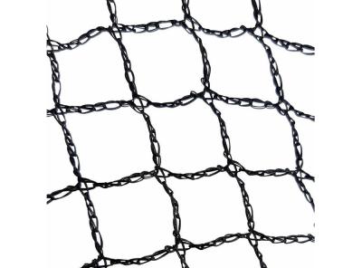 China Plastic Anti-Bird Netting for Strawberry for sale
