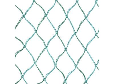 China Bird-Preventing Anti Bird Netting en venta