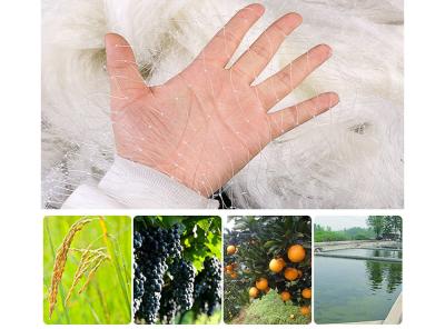 China Bird-Preventing Anti Bird Netting en venta