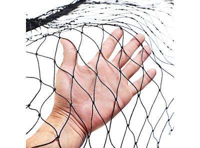 China Bird-Preventing Anti Bird Netting en venta