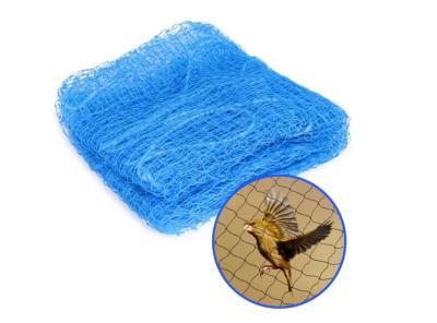 China Durable Agricultural Anti-bird Net - Blue for sale