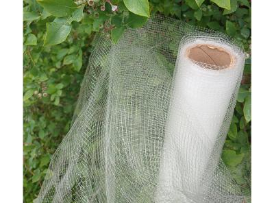 China Bloque Mesh Netting, red plástica del pájaro del pájaro en venta