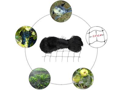 China Red del pájaro y de la pajarera para las plantas y los jardines en venta