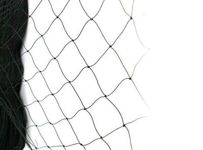 China Red del pájaro y de la pajarera para las plantas y los jardines en venta