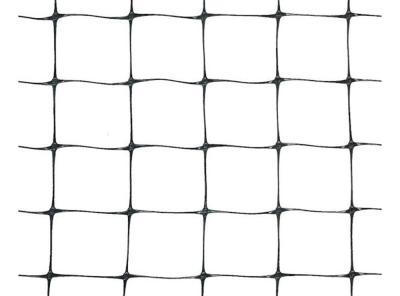 China Red del pájaro y de la pajarera para las plantas y los jardines en venta