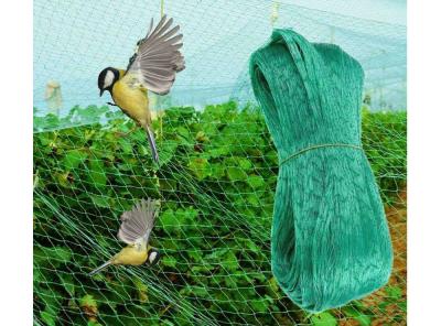 China Garden Netting to Keep Birds Out for sale