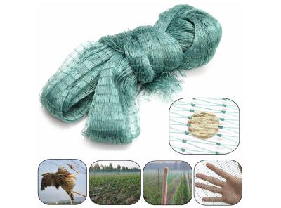 China Anti-bird Netting for Fruit & Vegetable Protection for sale