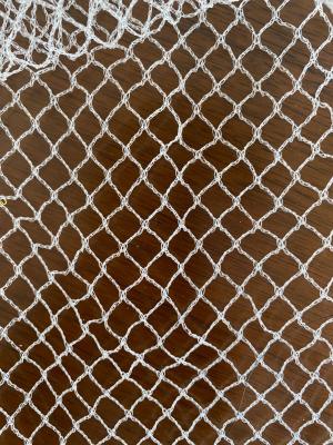 China Red de la exclusión del pájaro, pájaro que bloquea redes en venta