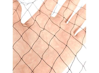 China Red de la barrera del pájaro en venta