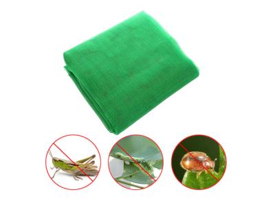 China Anti-Bugs Protective Garden Netting for sale