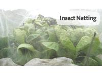 China HDPE Anti Insect Net Greenhouse Protection Mesh 50x25 40g/m2 UV Treated for sale