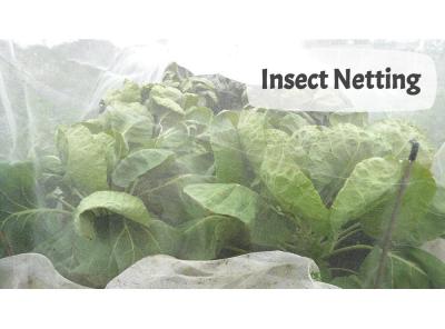 China Greenhouse Protection Nets & Insect Screens for sale