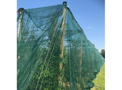 China Greenhouse Protection Nets & Insect Screens for sale