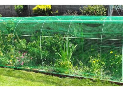 China Greenhouse Protection Nets & Insect Screens for sale