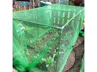 China HDPE Anti Insect Net Greenhouse Protection Mesh 50x25 40g/m2 UV Treated for sale