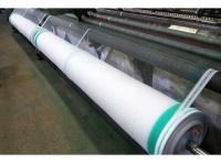 China HDPE Anti Hail Netting 40-100gsm UV Stabilized for Fruit Vegetable Garden Protection for sale