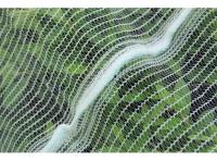 China HDPE Anti Hail Netting 40-100gsm UV Stabilized for Fruit Vegetable Garden Protection for sale