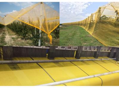 China Sistema neto del Anti-saludo en venta