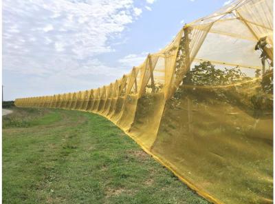 China Sistema neto del Anti-saludo en venta