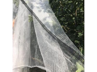 China Hail Protection Net for Agriculture for sale