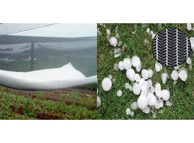 China Hail Netting Protecting Your Crops, Fruit Trees and Gardens for sale