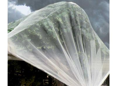 China Anti-Hail Net, Woven Nets to Protect Plants for sale